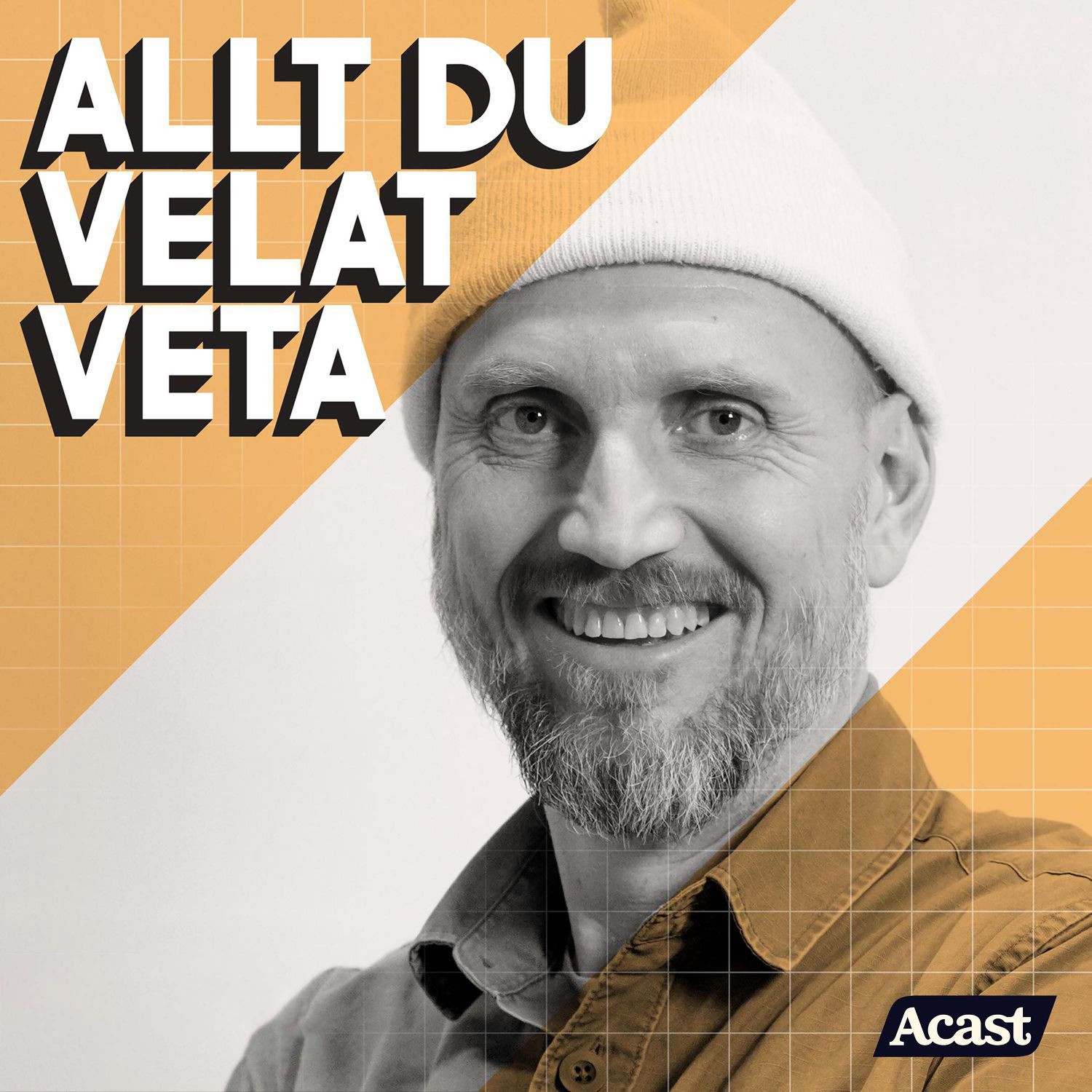353 Om tillståndet i svenska språket med Jenny Björkman och Patrik ...